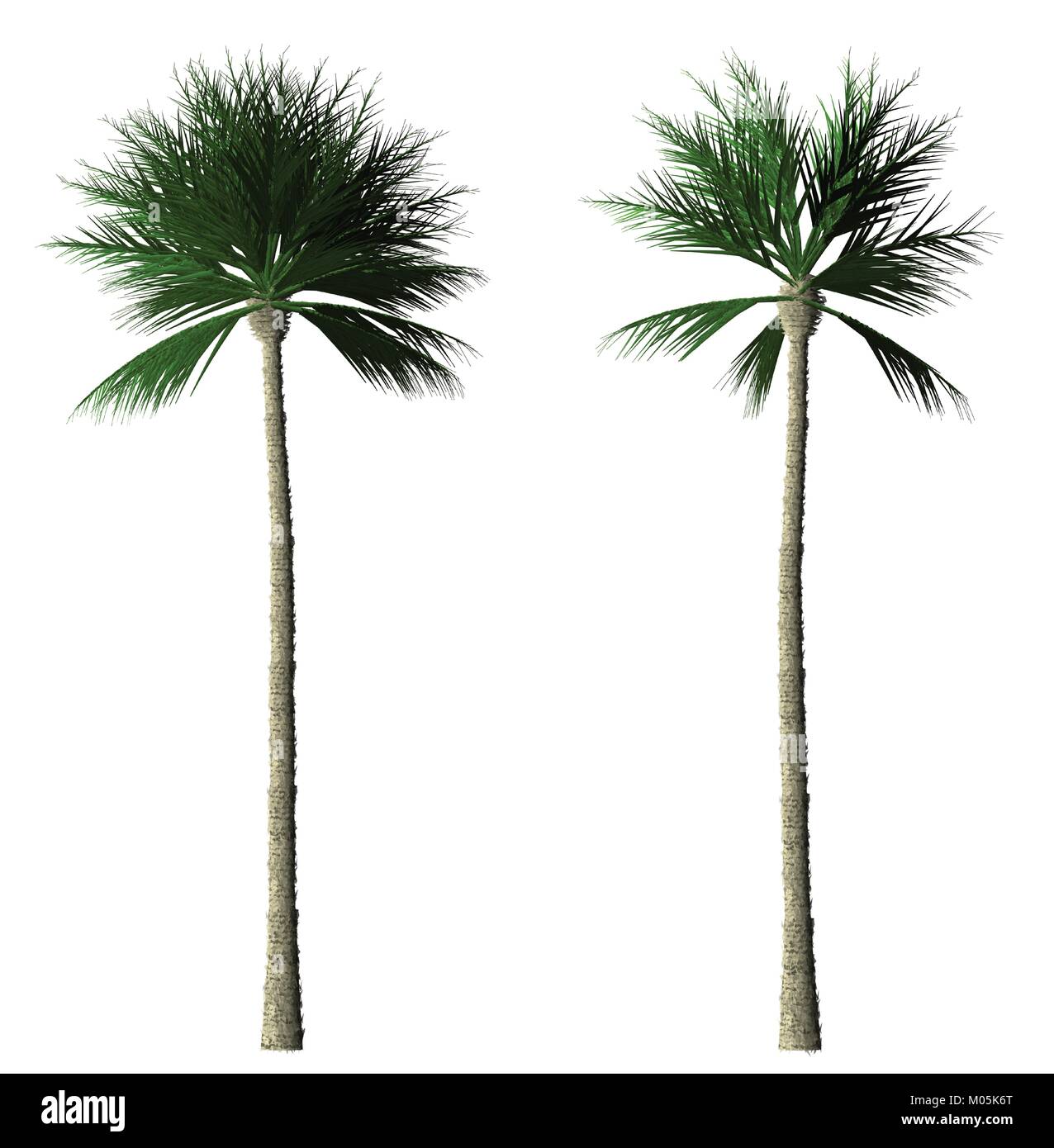 Vegetation vector vectors hi-res stock photography and images - Alamy