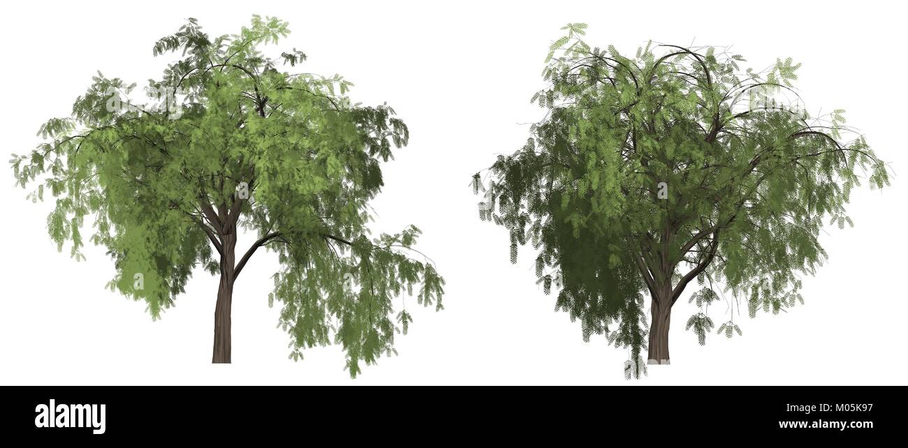 Vegetation vector vectors hi-res stock photography and images - Alamy