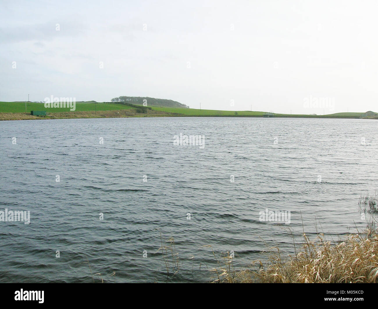 Busbie High Resolution Stock Photography and Images - Alamy