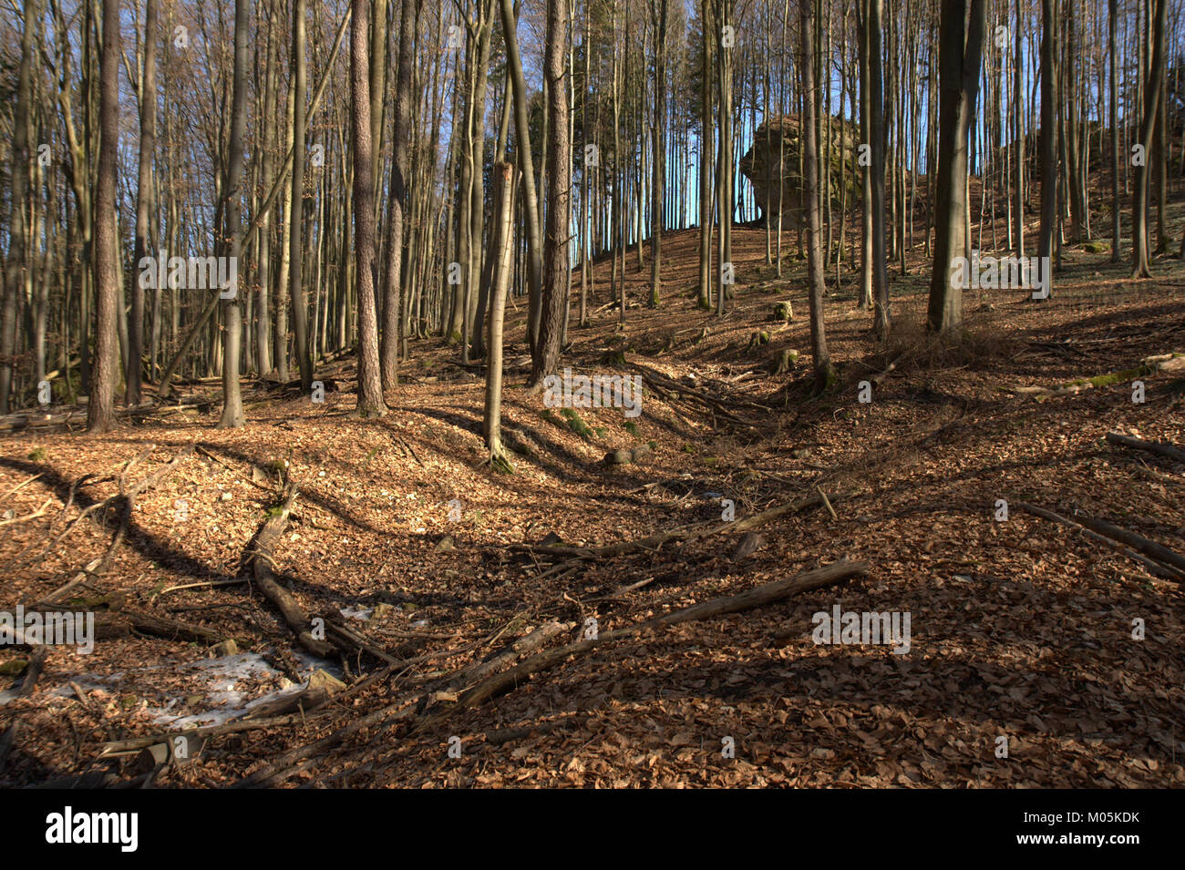 Burgstall Hienberg is the site of a historic castle ruin located in the ...