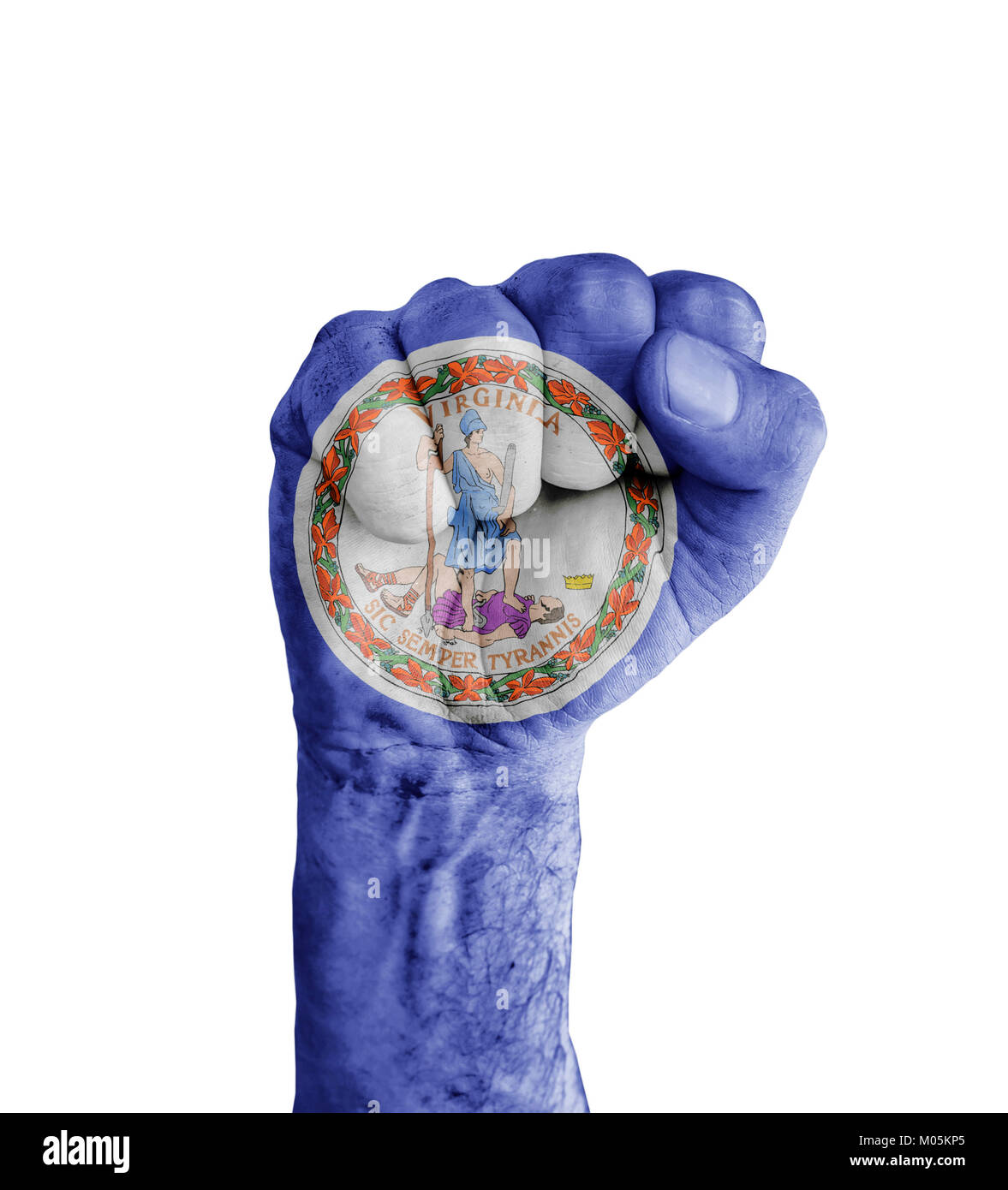 Flag of US Virginia state painted on human fist like victory symbol ...
