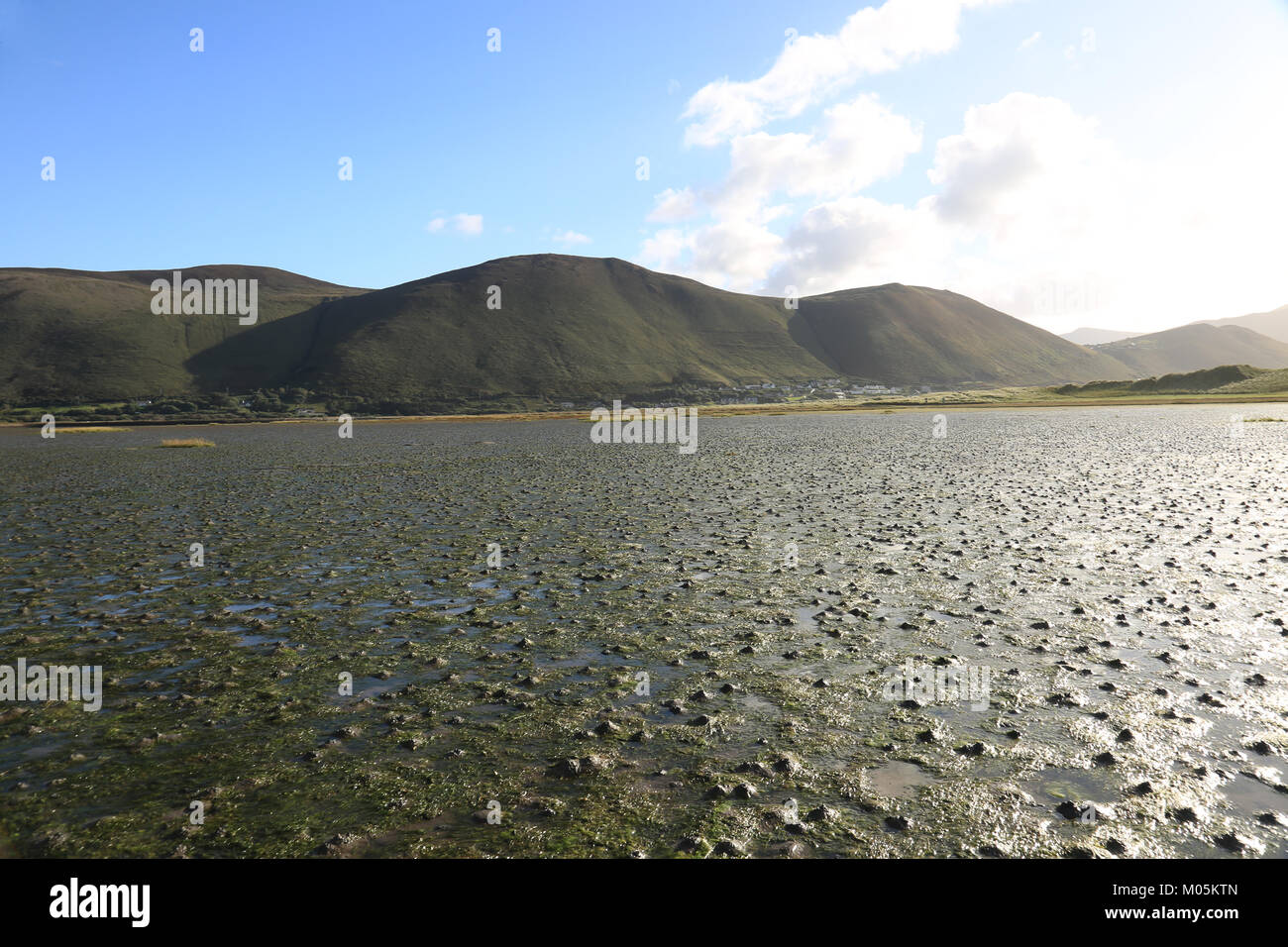 Sandy shoreline in Ireland Coastal Stock Photo - Alamy
