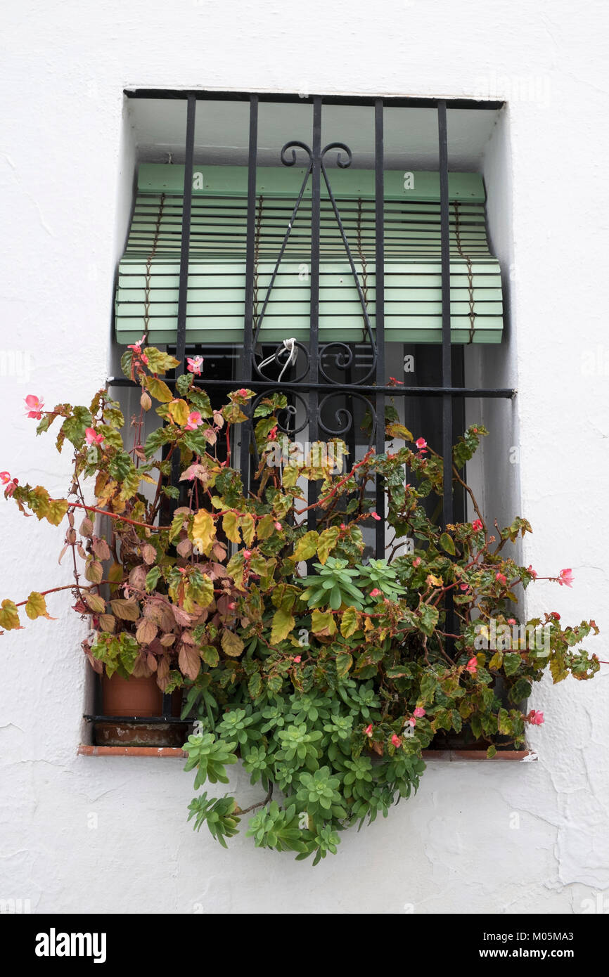 Spanish window and grille hi-res stock photography and images - Alamy