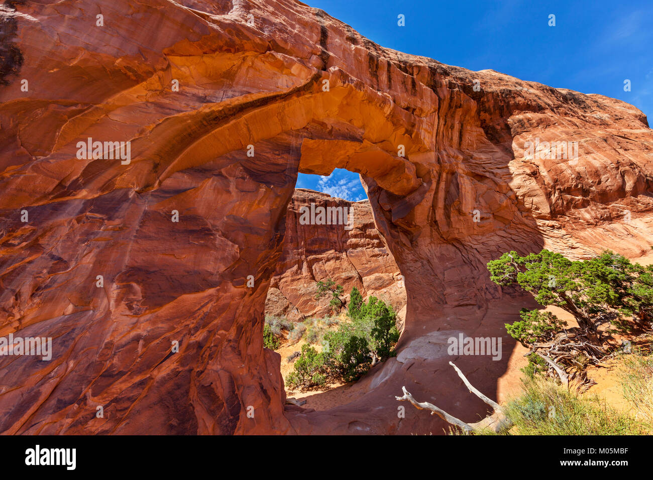 The Pine Tree Arch in Arches National Park in Utah Stock Photo - Alamy