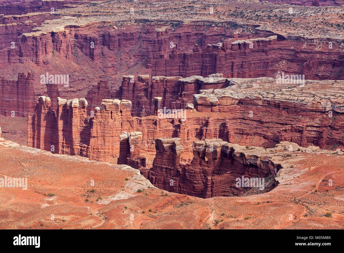 A view of the Grand View Point Overlook in the Canyonlands National ...