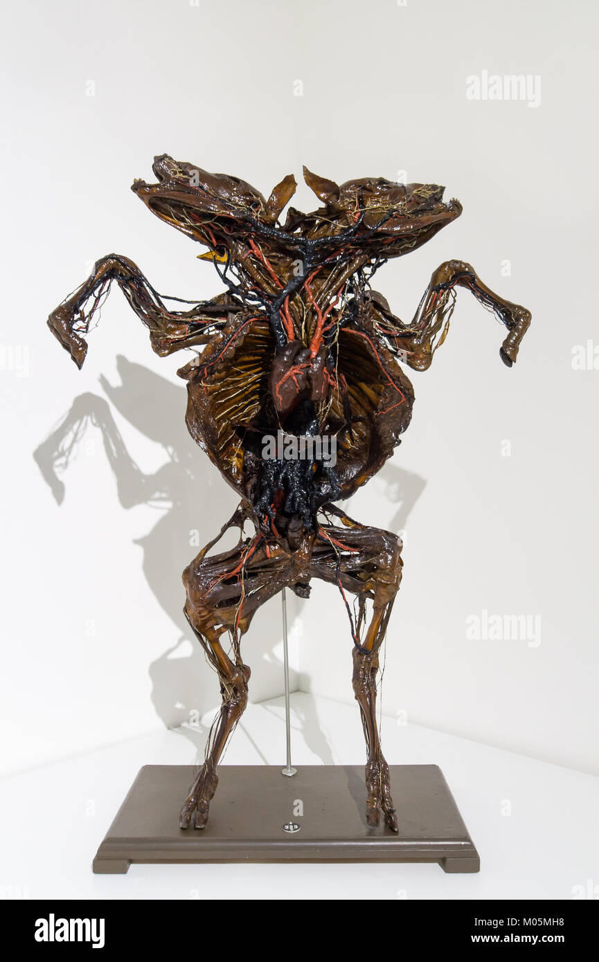 Mutant High Resolution Stock Photography and Images - Alamy