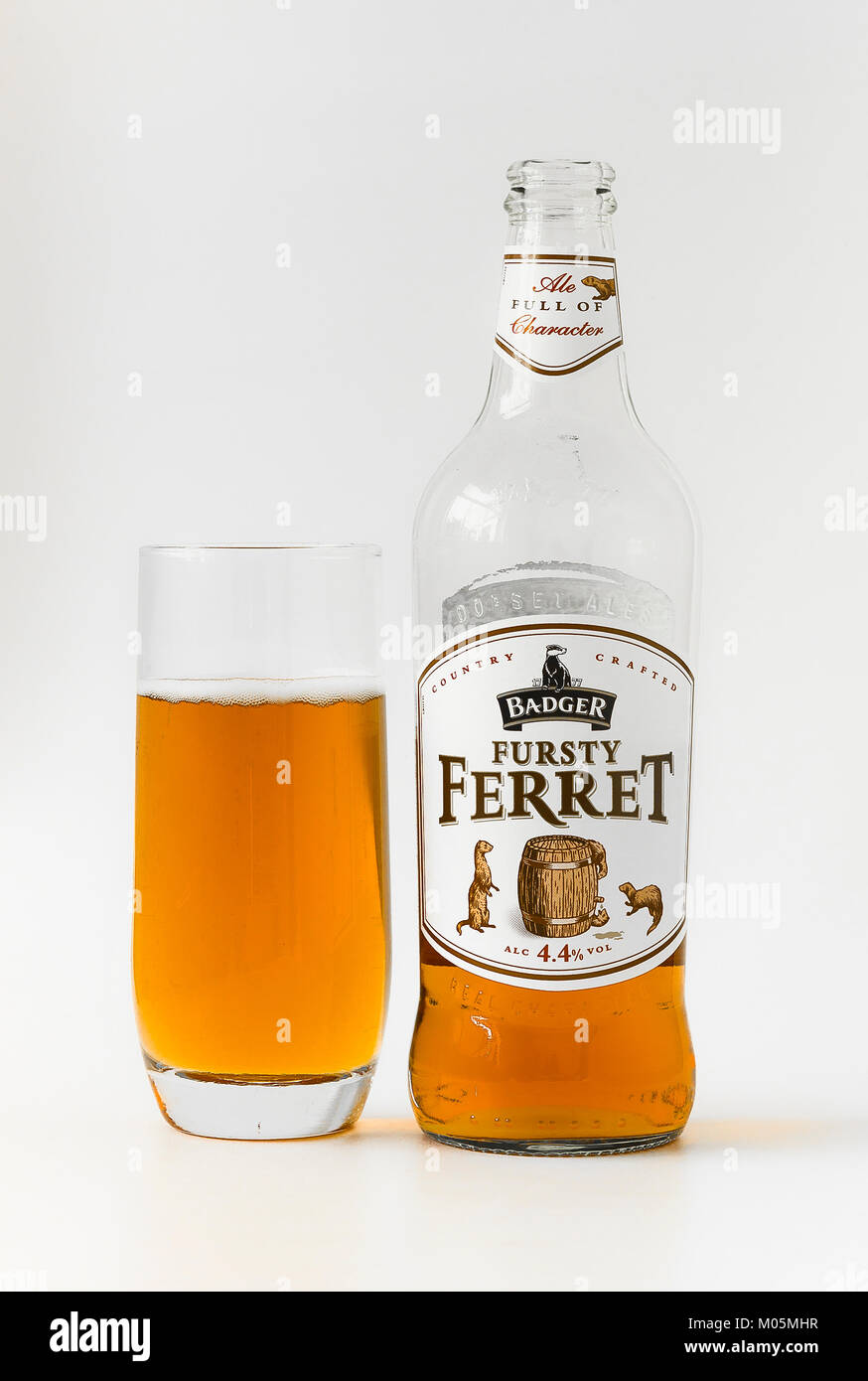 Fursty ferret hi-res stock photography and images - Alamy