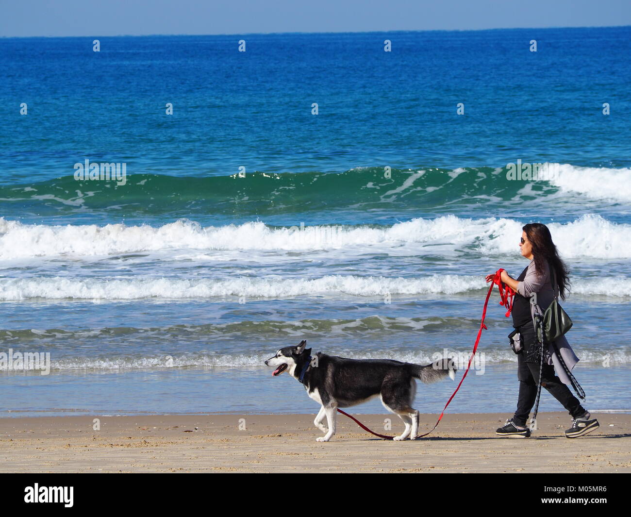 woman strolling on the beach with her dog Stock Photo - Alamy