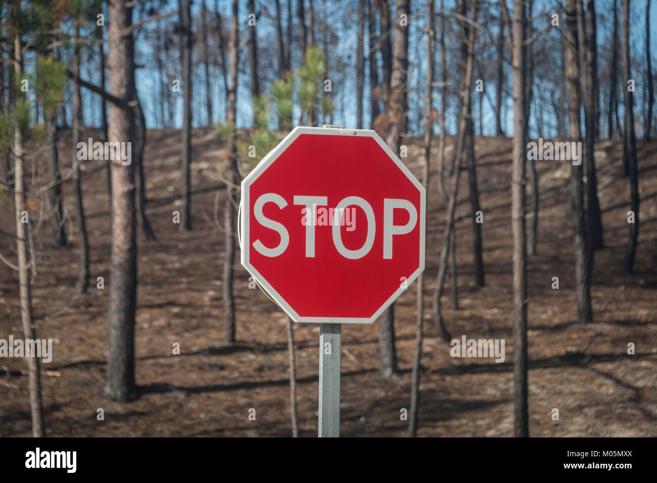 Red stop sign Stock Photo - Alamy