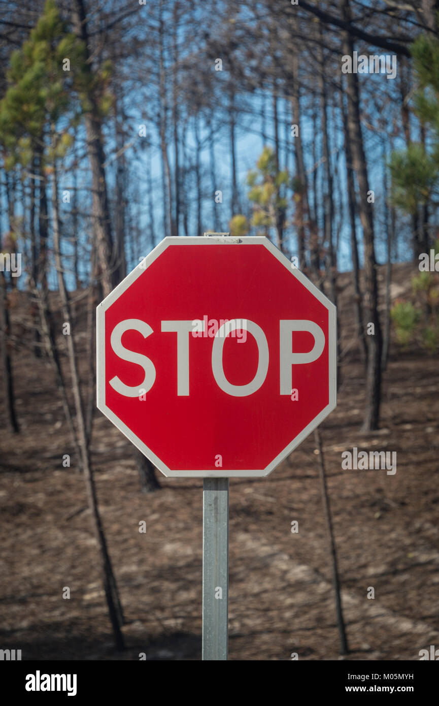 red stop sign Stock Photo - Alamy