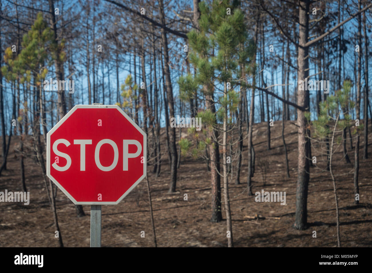 Red stop sign Stock Photo - Alamy