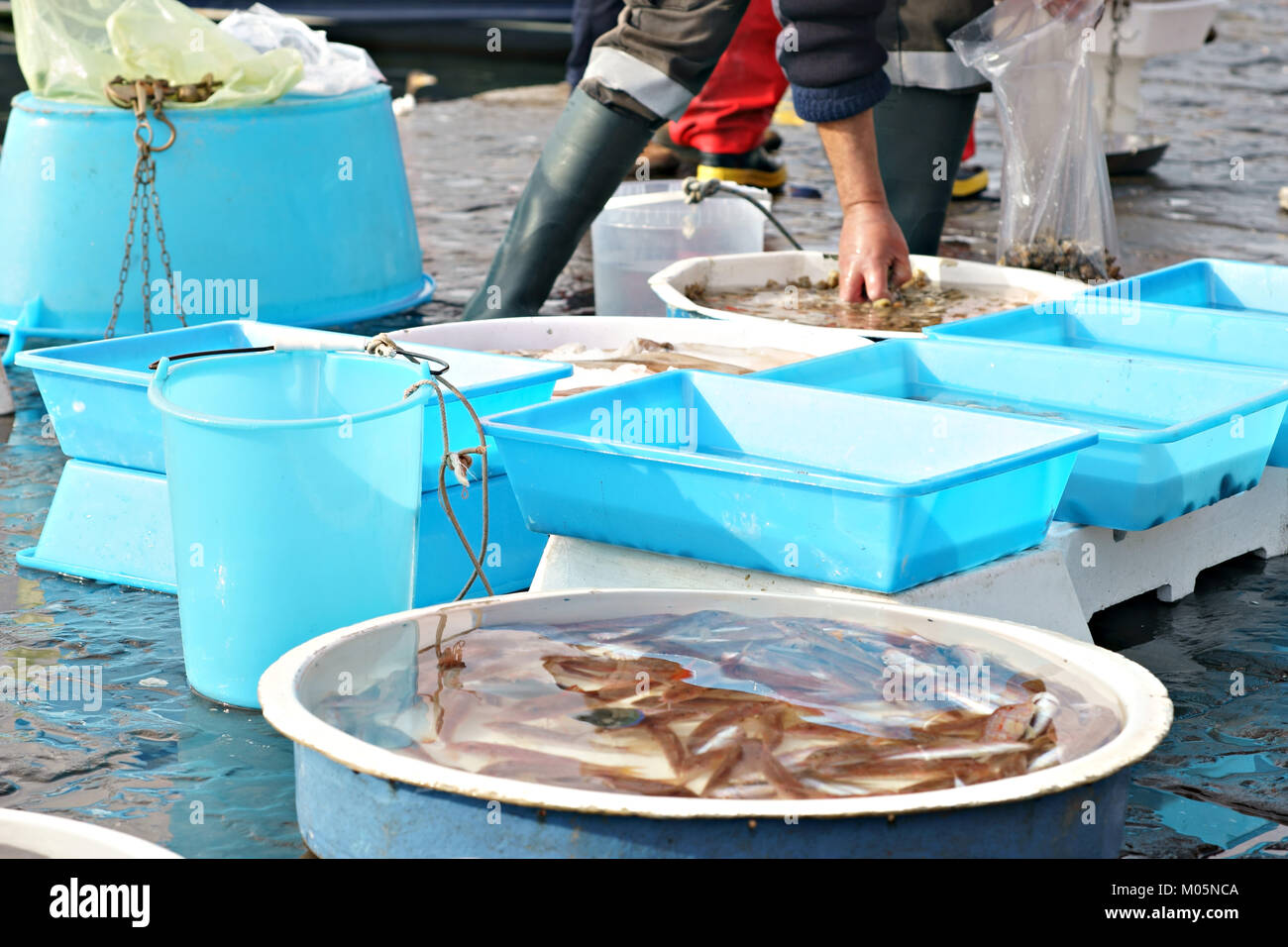 Boxes at fish market in Naples, Italy Stock Photo - Alamy