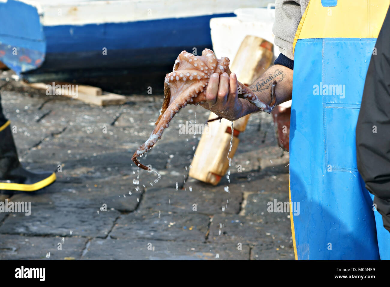 Octopus Catching Fish High Resolution Stock Photography and Images - Alamy