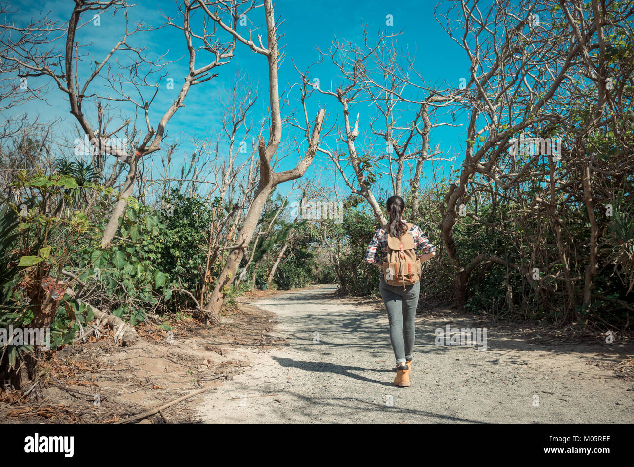 beautiful pretty female hiker traveler walking on forest trail enjoying ...