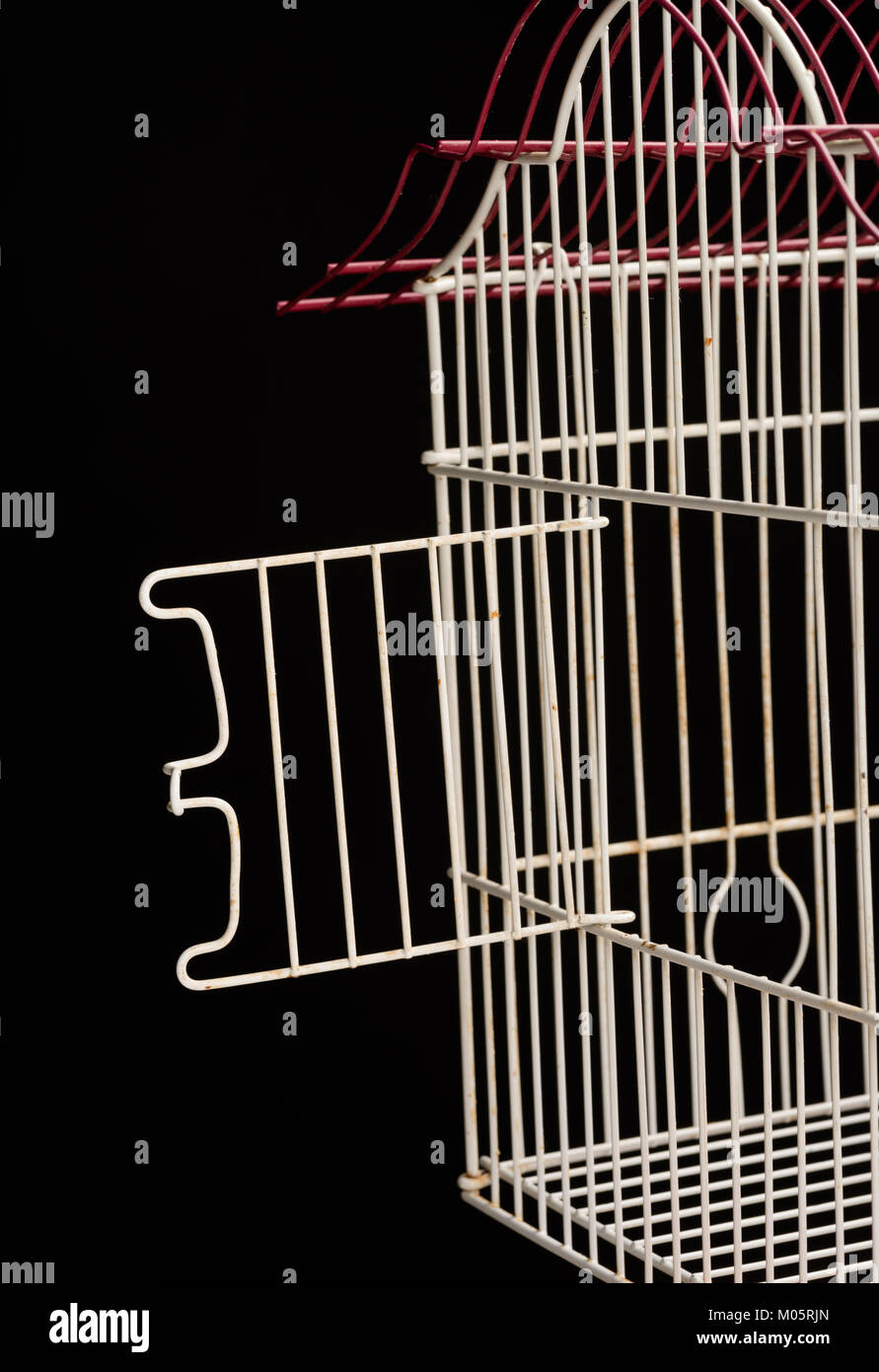 Cage with an open door, a conceptual shot on freedom Stock Photo - Alamy