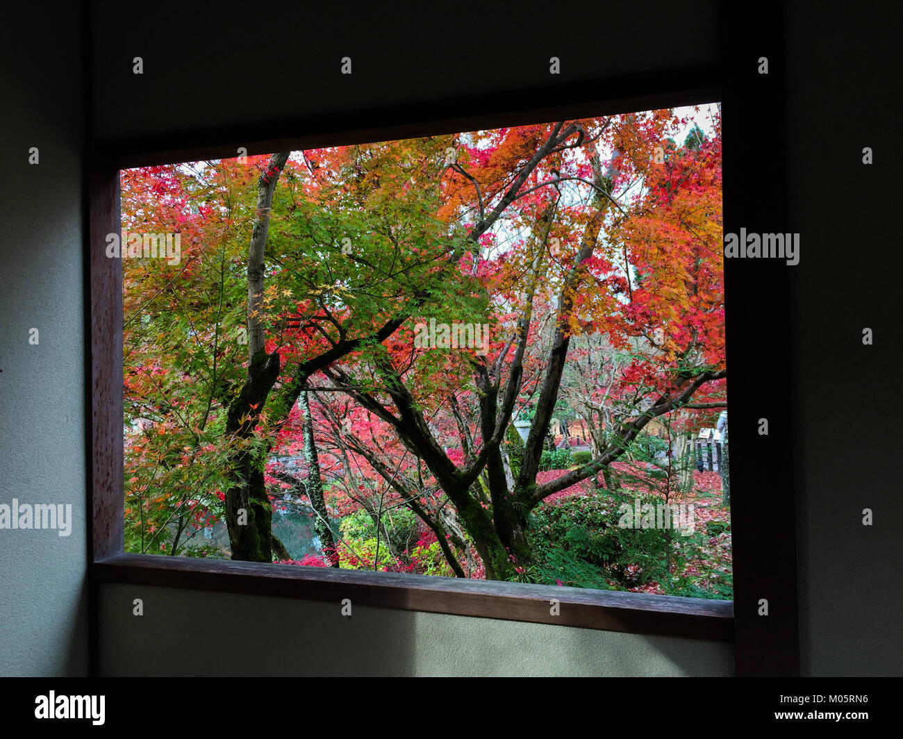 A wooden window with autumn garden in Kyoto, Japan Stock Photo - Alamy