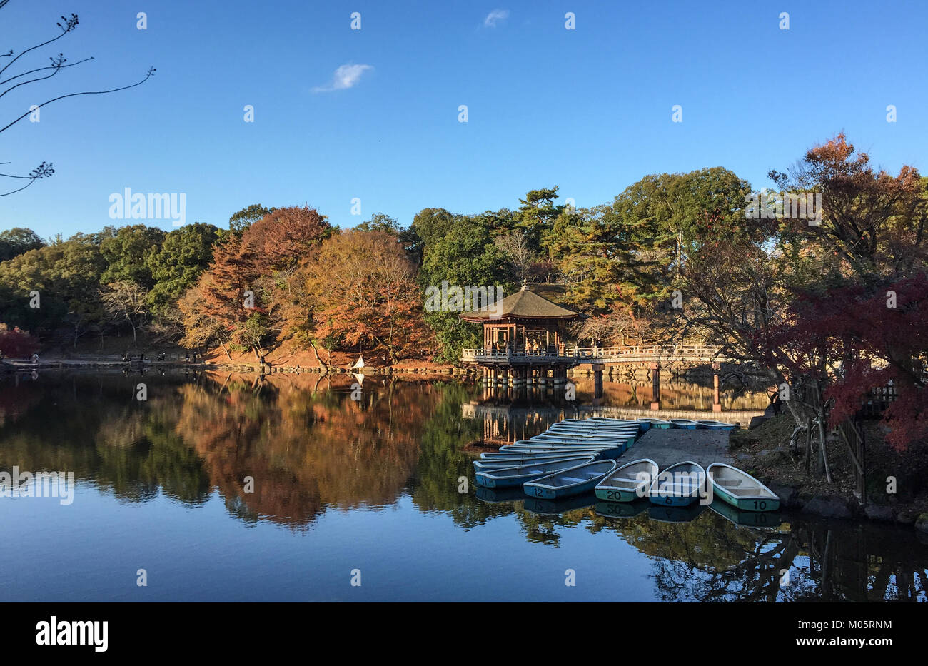 Boats on quiet lake at autumn in Nara Park, Japan Stock Photo - Alamy