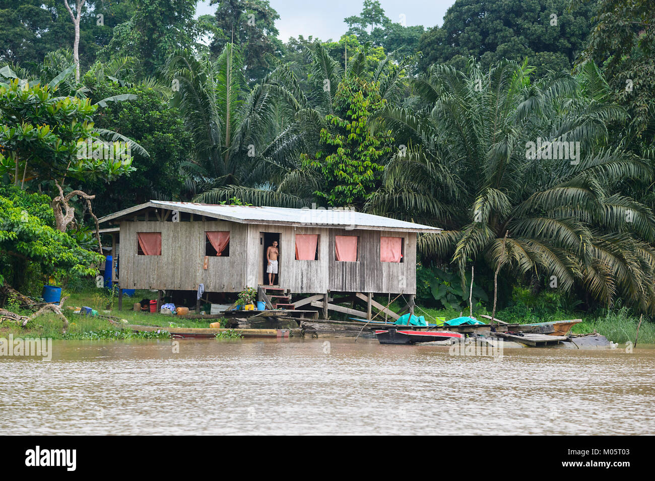 Sukau kinabatangan river hi-res stock photography and images - Alamy