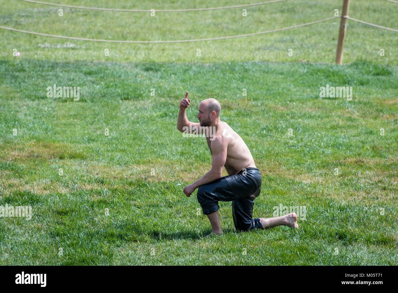 Unidentified Turkish people perform oil wrestling.Oil wrestling or ...