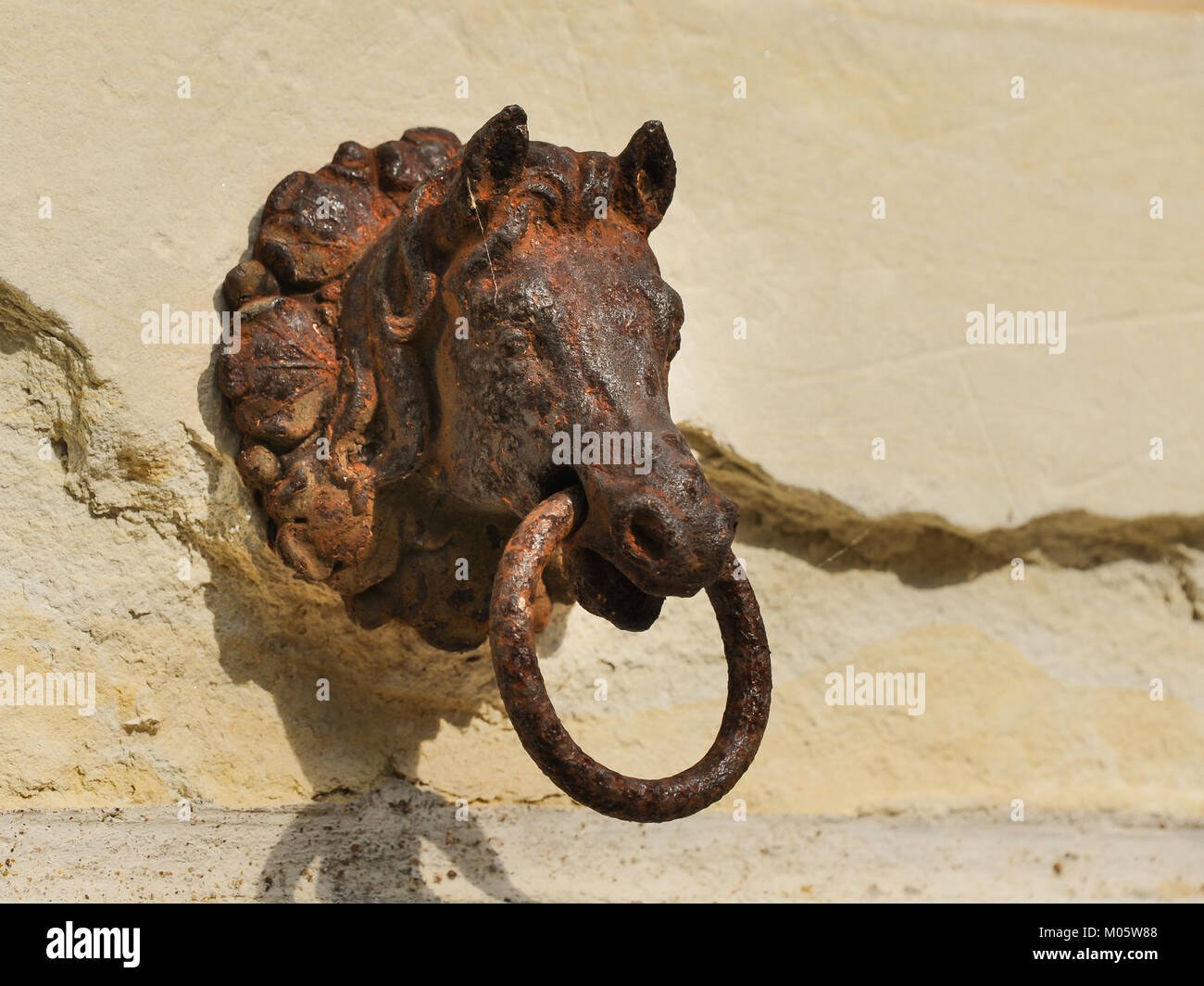Old rusty head of a horse with a ring to tie up horses Stock Photo - Alamy