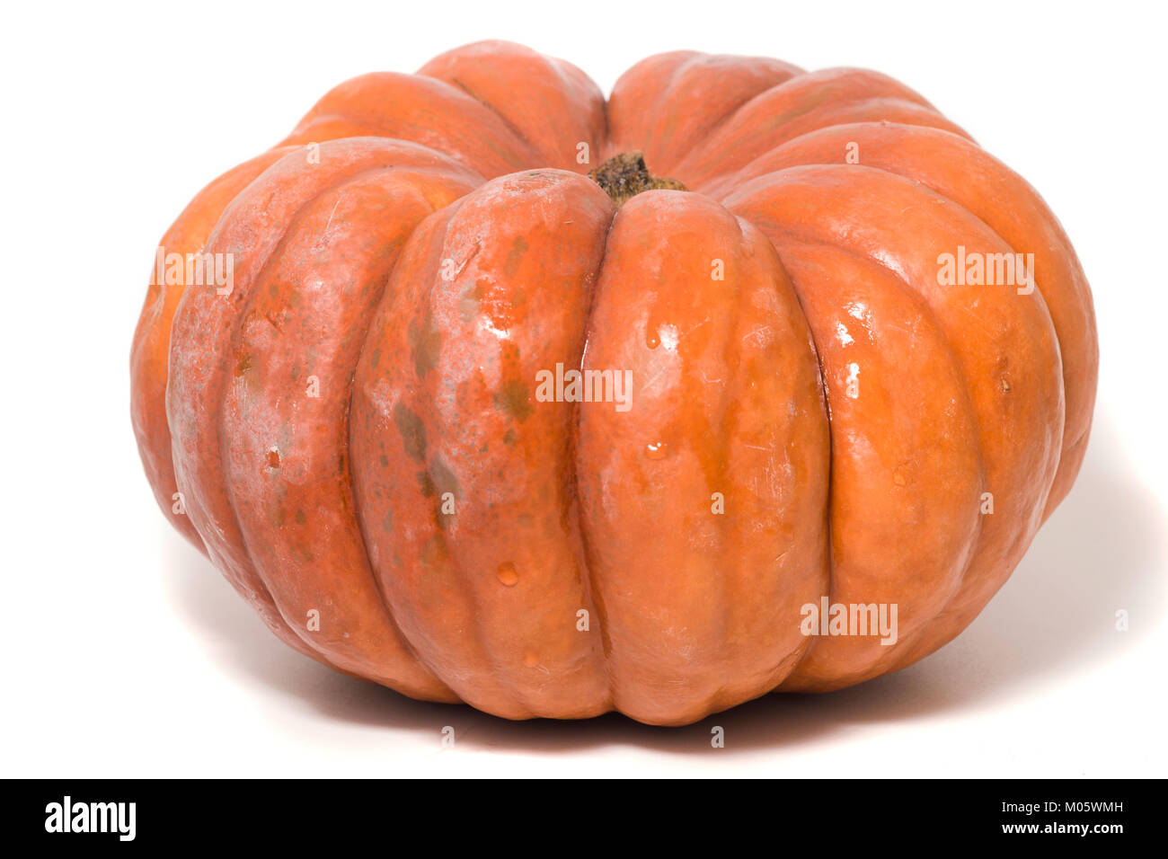 Big orange pumpkin Cucurbita Maxima isolated on a white background ...