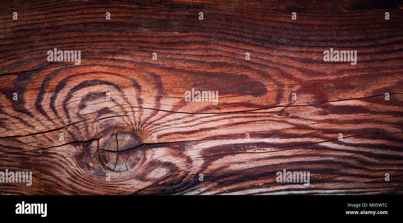 Tiger patterns hi-res stock photography and images - Alamy