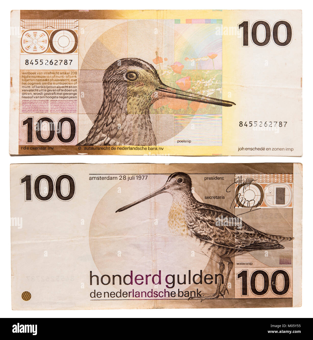 Obsolete Netherlands bank notes isolated on a white background Stock ...