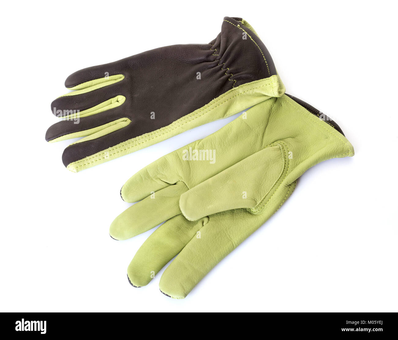 gardening gloves in front of white background Stock Photo - Alamy