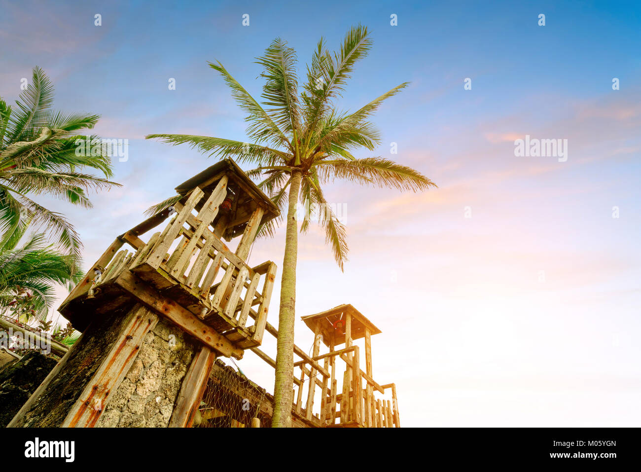 The wooden structure of the tower and the coconut tree Stock Photo - Alamy