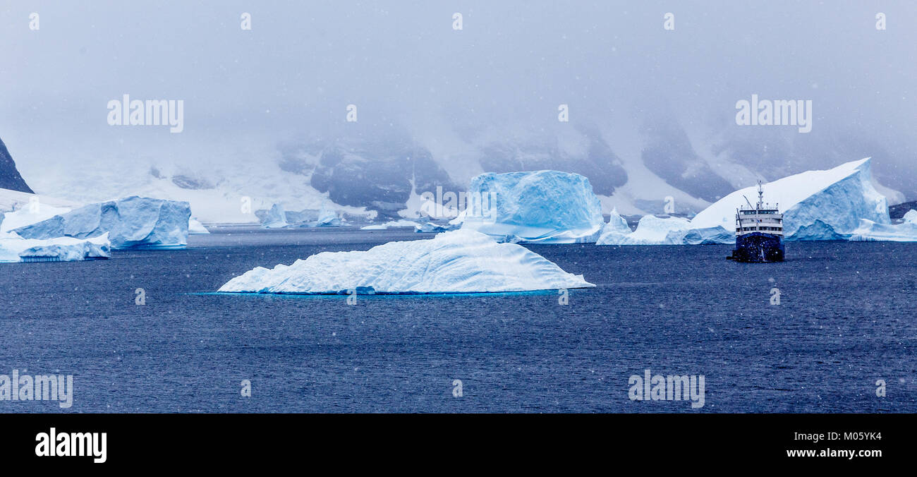 Snowfall and cruise ship among blue icebergs in Port Charcot, Booth ...