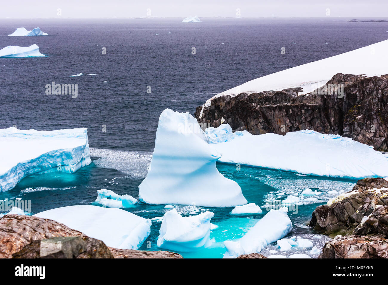 Cold still waters of antarctic sea lagoon with drifting blue icebergs ...