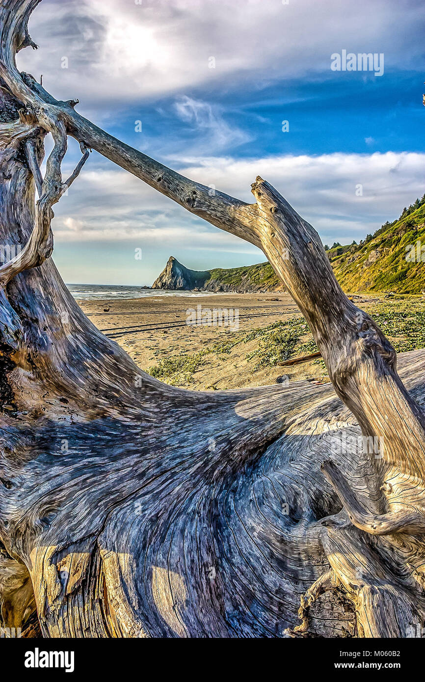Patrick’s Point State Park sits on a lushly forested promontory beside ...