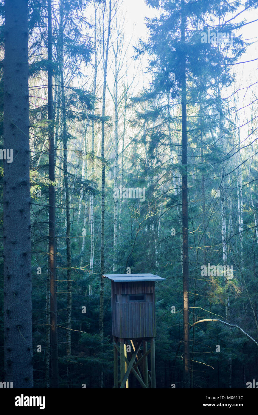 Wooden hunting tower in the forest with big trees around it Stock Photo ...