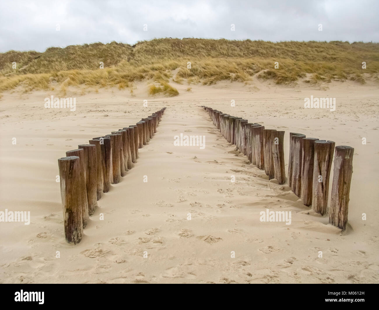 coastal beach scenery at the North Sea near Domburg in Walcheren in the ...