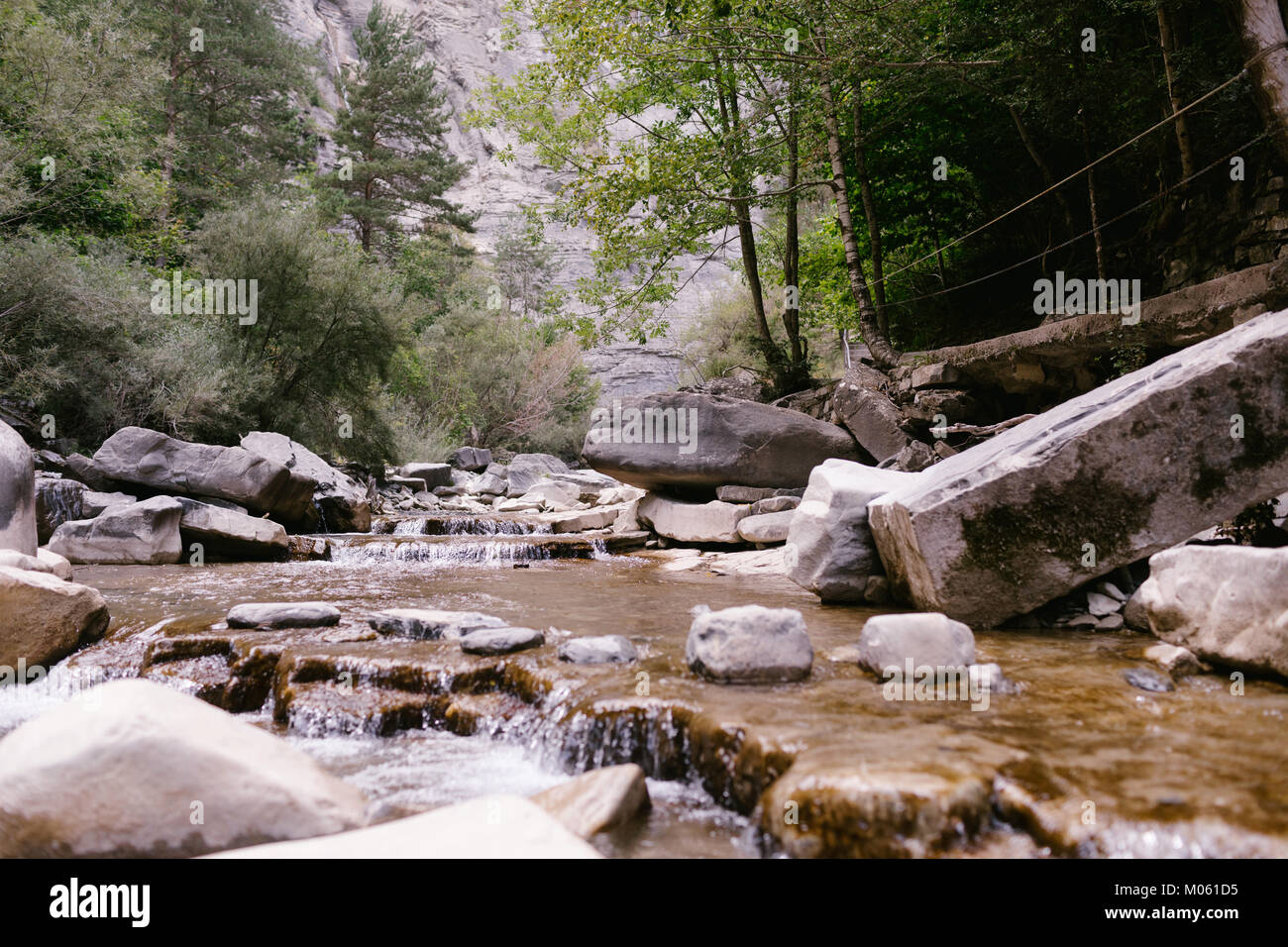 Small creek flowing through forest among big and small rocks Stock ...