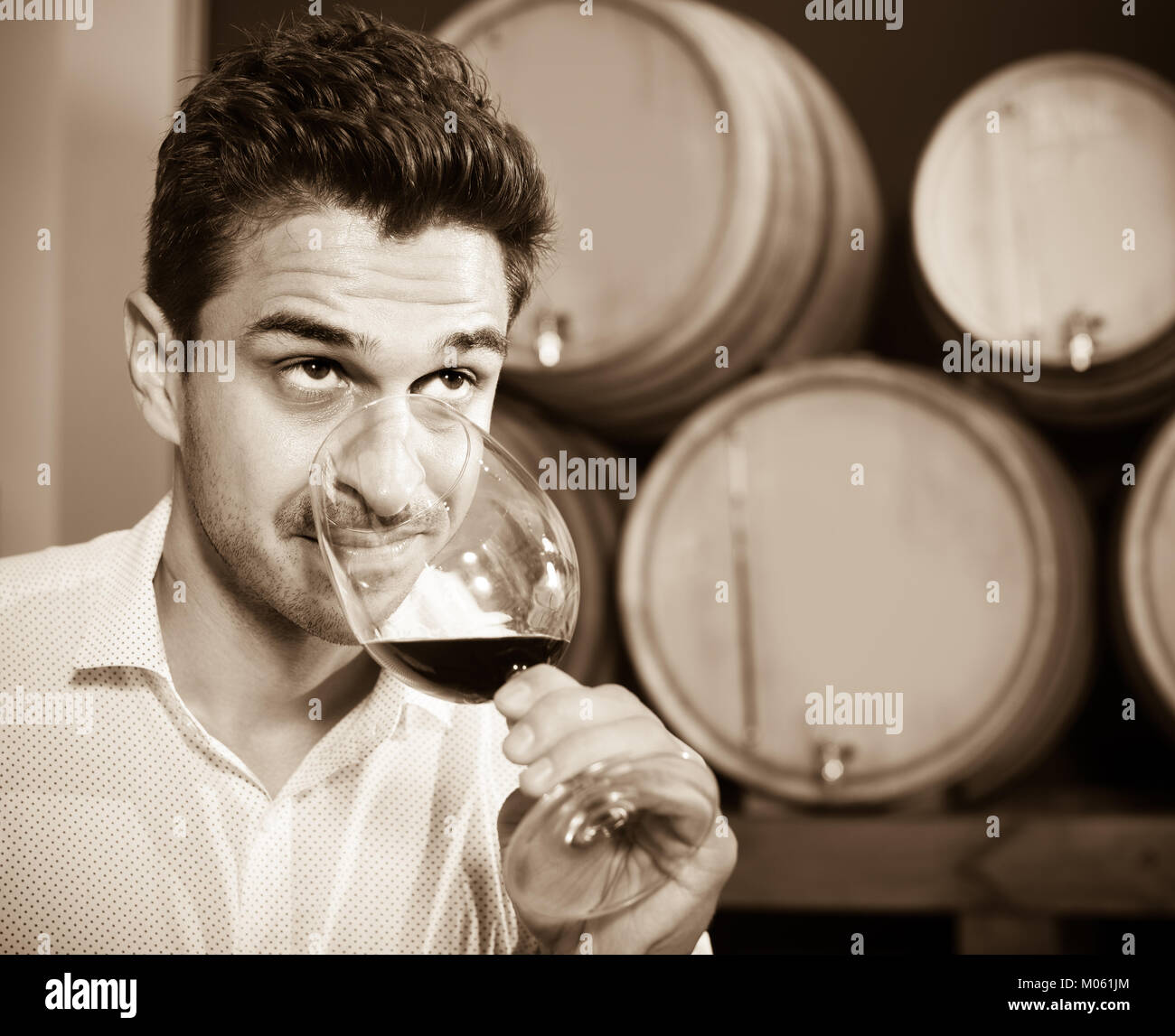 positive adult man having wine tasting in winery Stock Photo - Alamy