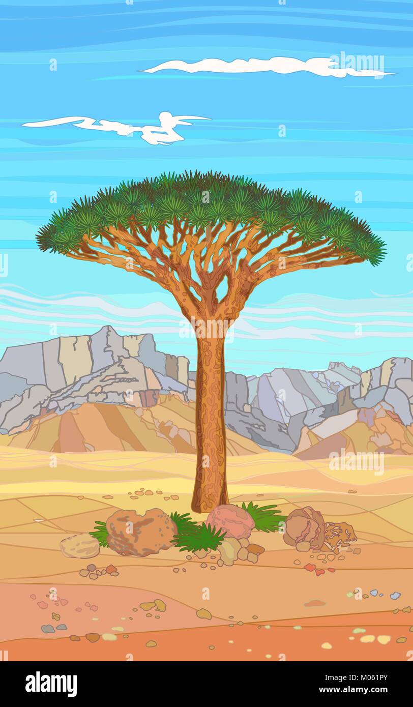Tropical tree of the island of Socotra, on white background. Plants and ...