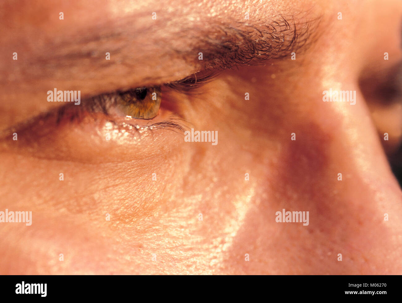 eyes of a man Stock Photo - Alamy