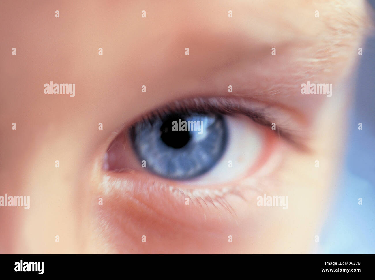 detail of the eye of a child Stock Photo - Alamy