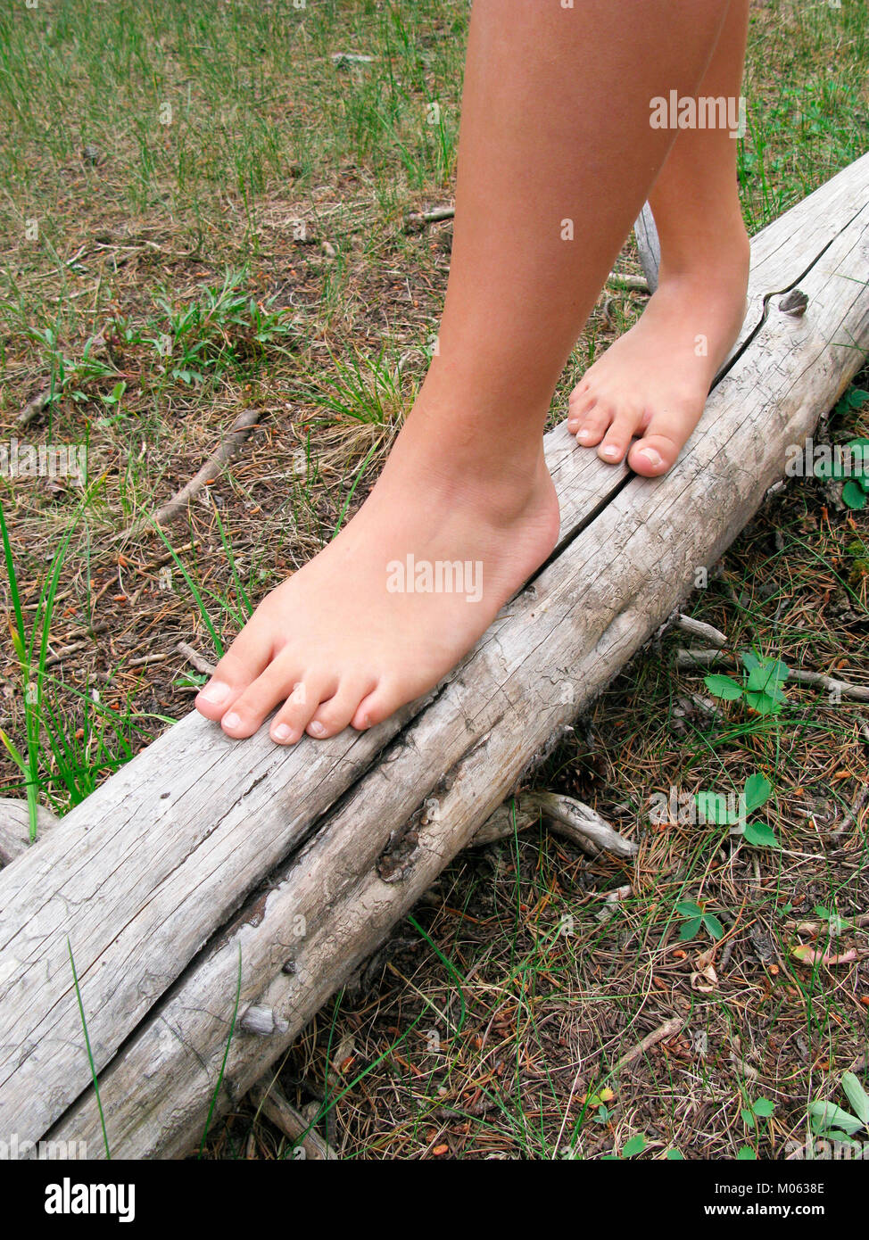 feet of a girl on a tree trunk Stock Photo - Alamy