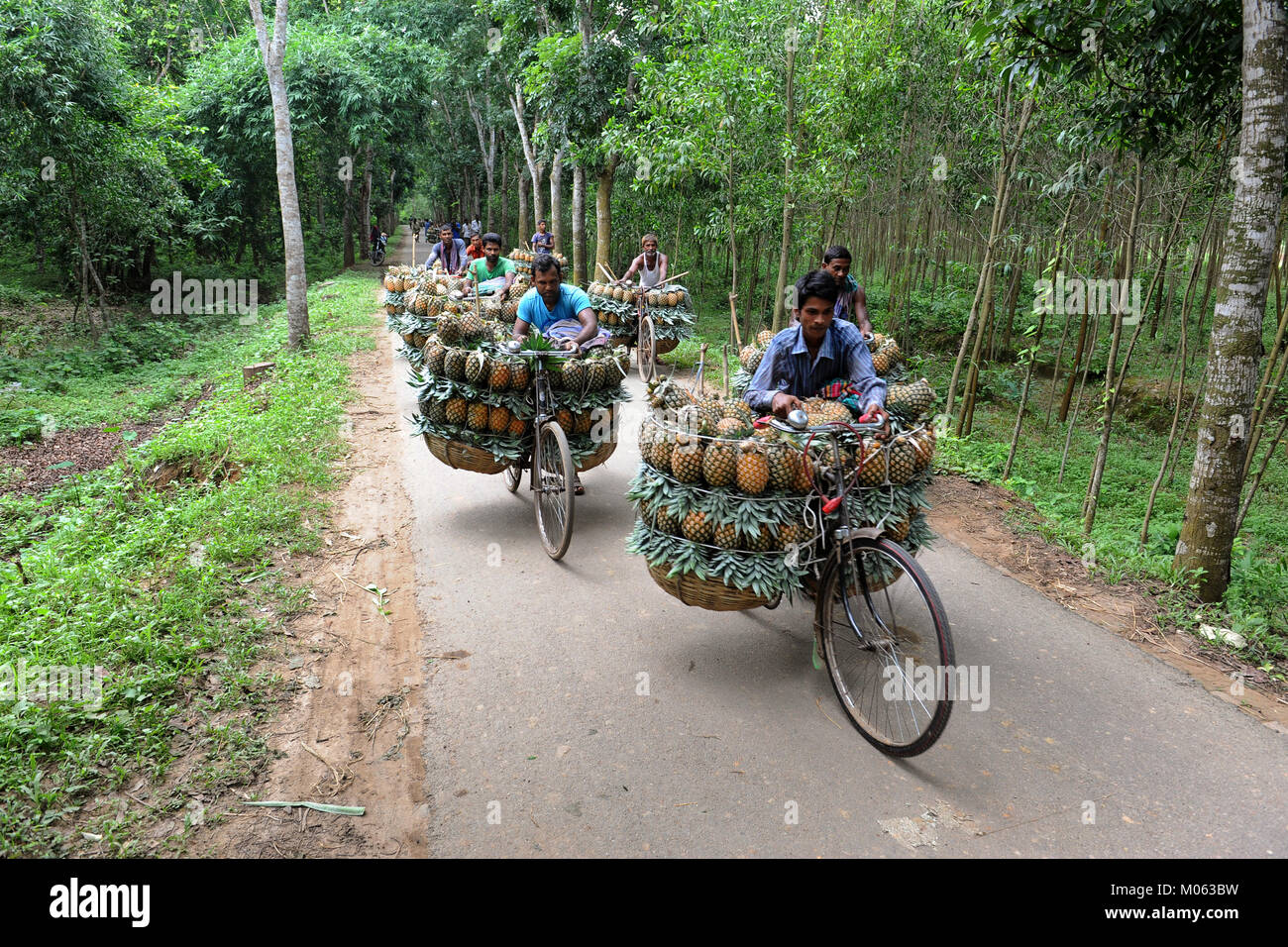 Loaded bicycles hi-res stock photography and images - Alamy