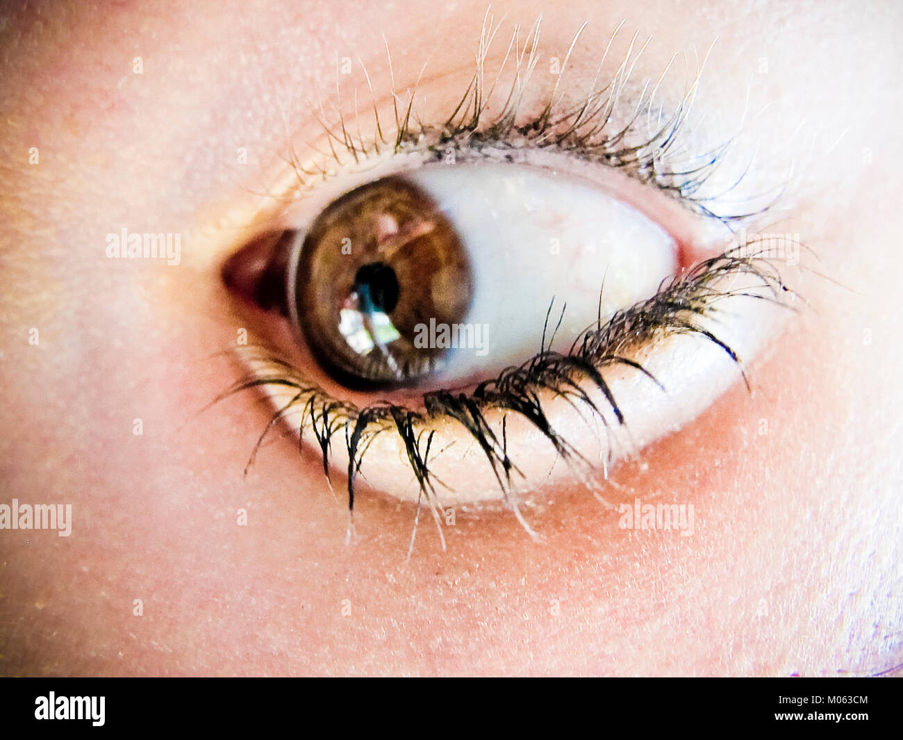 Flipped horizontal hi-res stock photography and images - Alamy