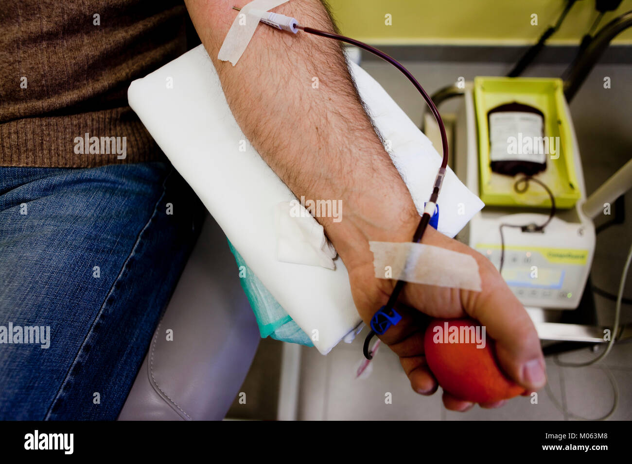 blood donor, transfusion center, hospital in Casale Monferrato ...