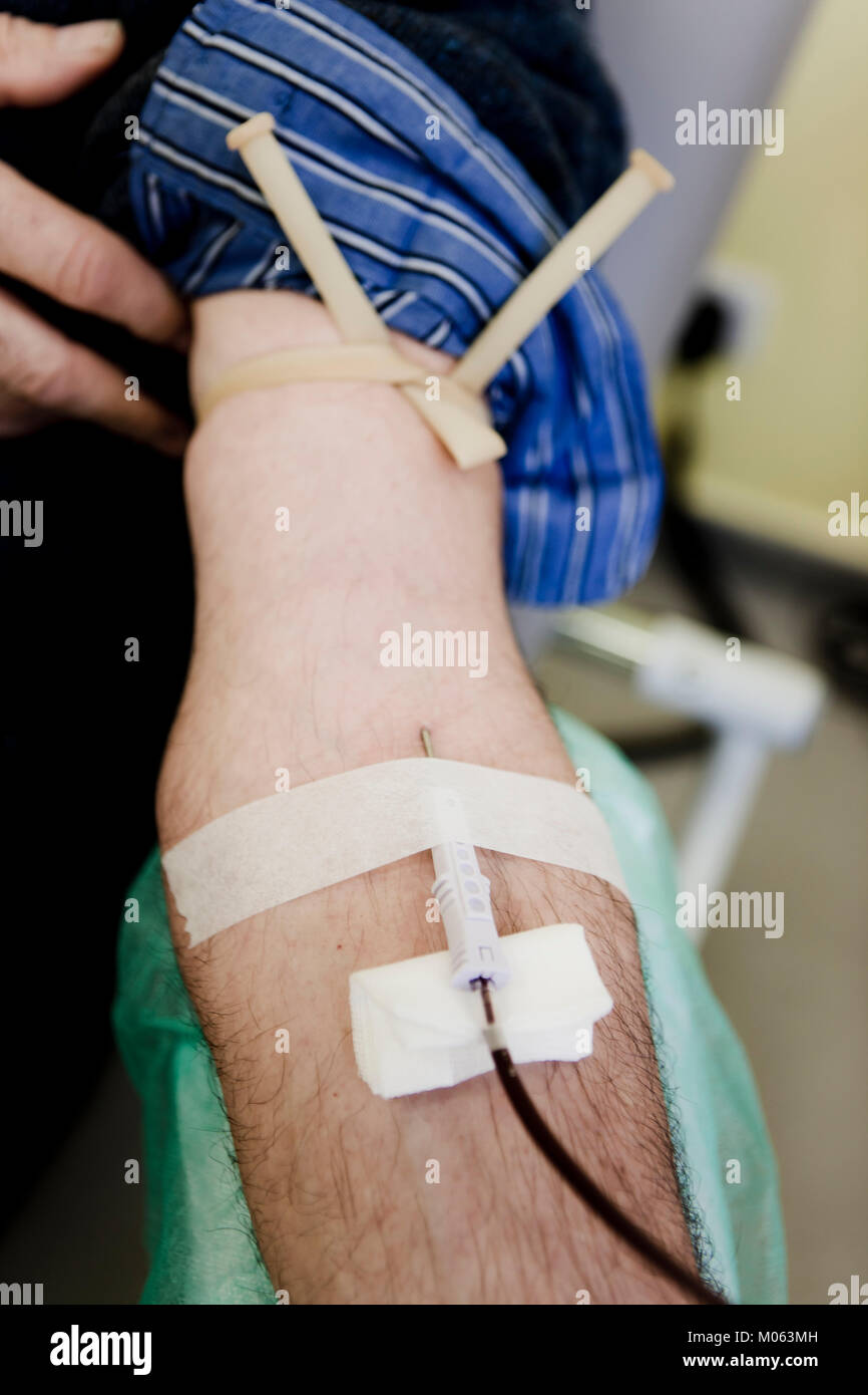 blood donor, transfusion center, hospital in Casale Monferrato ...
