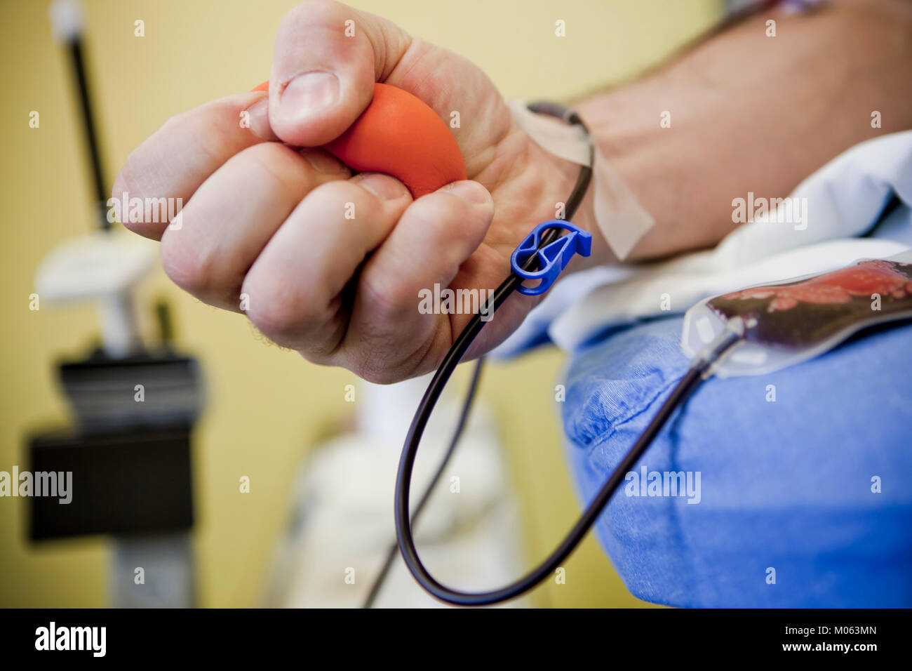blood donor, transfusion center, hospital in Casale Monferrato ...