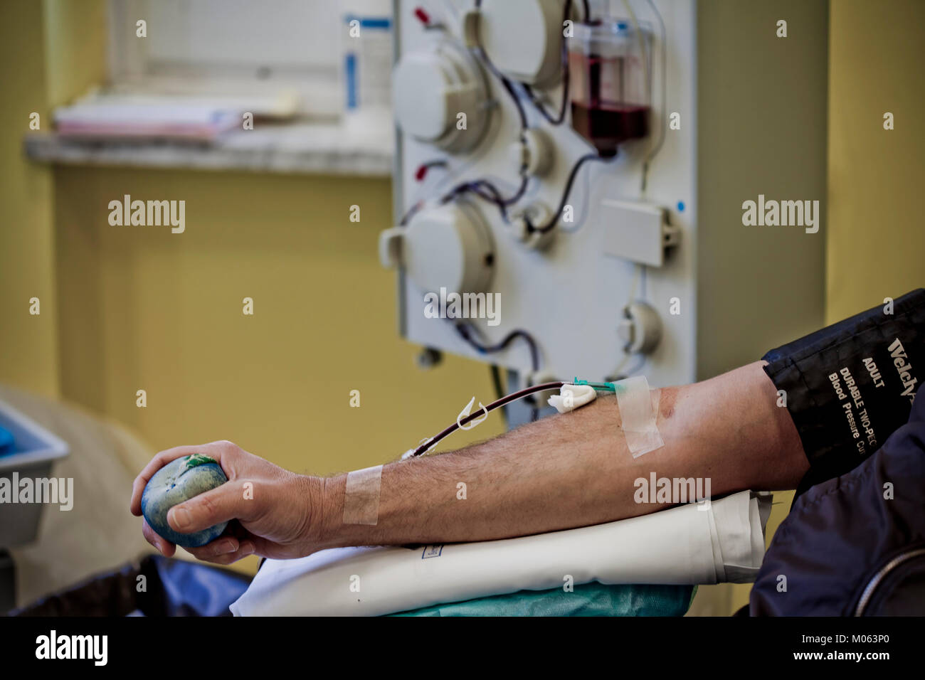 blood donor, transfusion center, hospital in Casale Monferrato ...