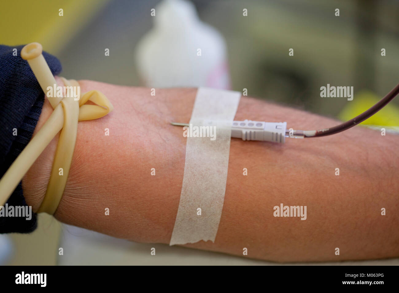 blood donor, transfusion center, hospital in Casale Monferrato ...