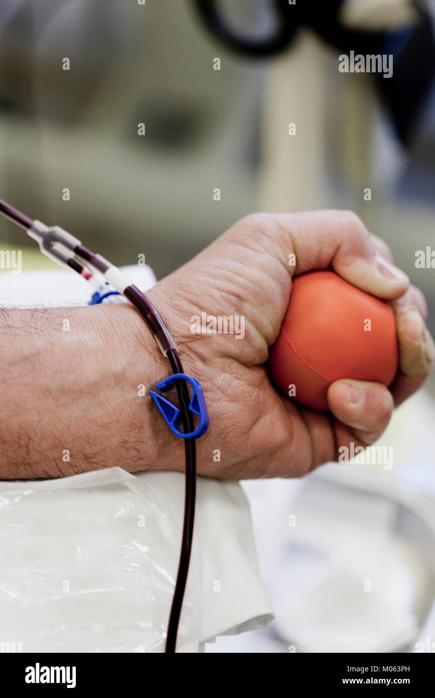 blood donor, transfusion center, hospital in Casale Monferrato ...