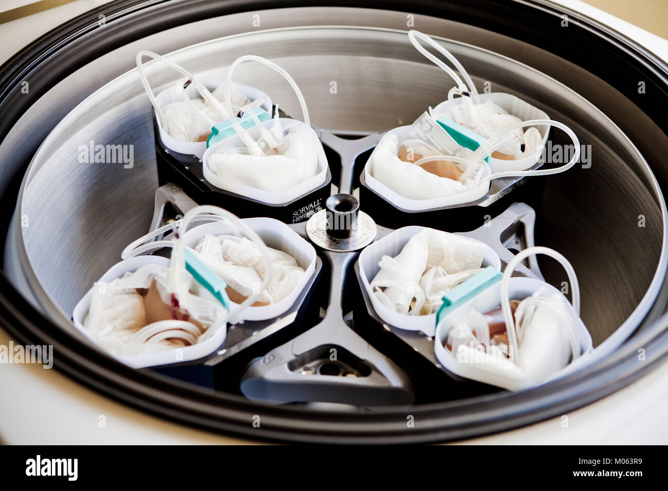 Centrifuge room, transfusion center, hospital in Casale Monferrato ...
