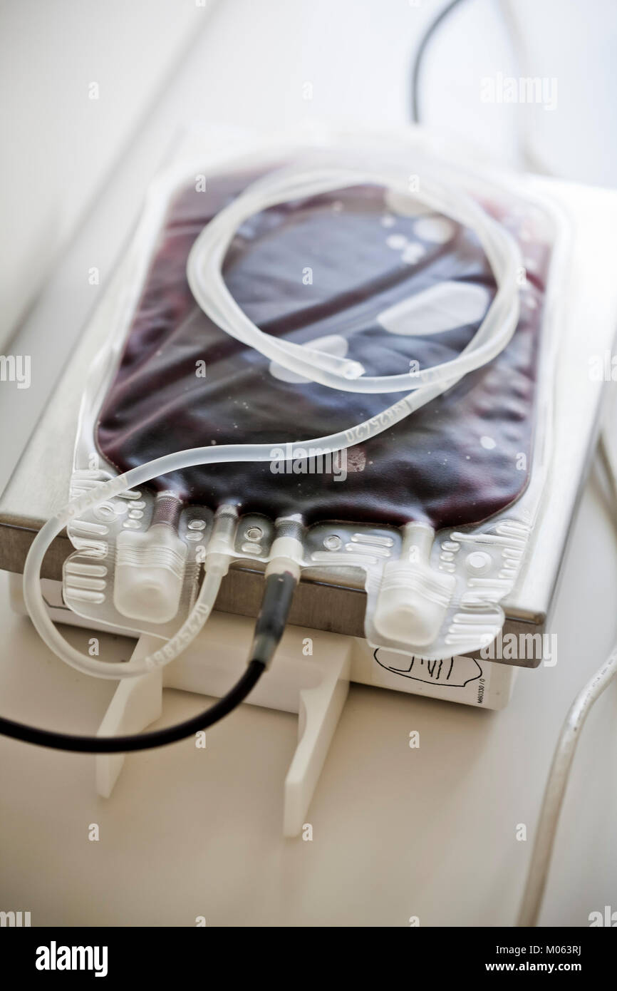 blood bag, transfusion center, hospital in Casale Monferrato, Piedmont ...